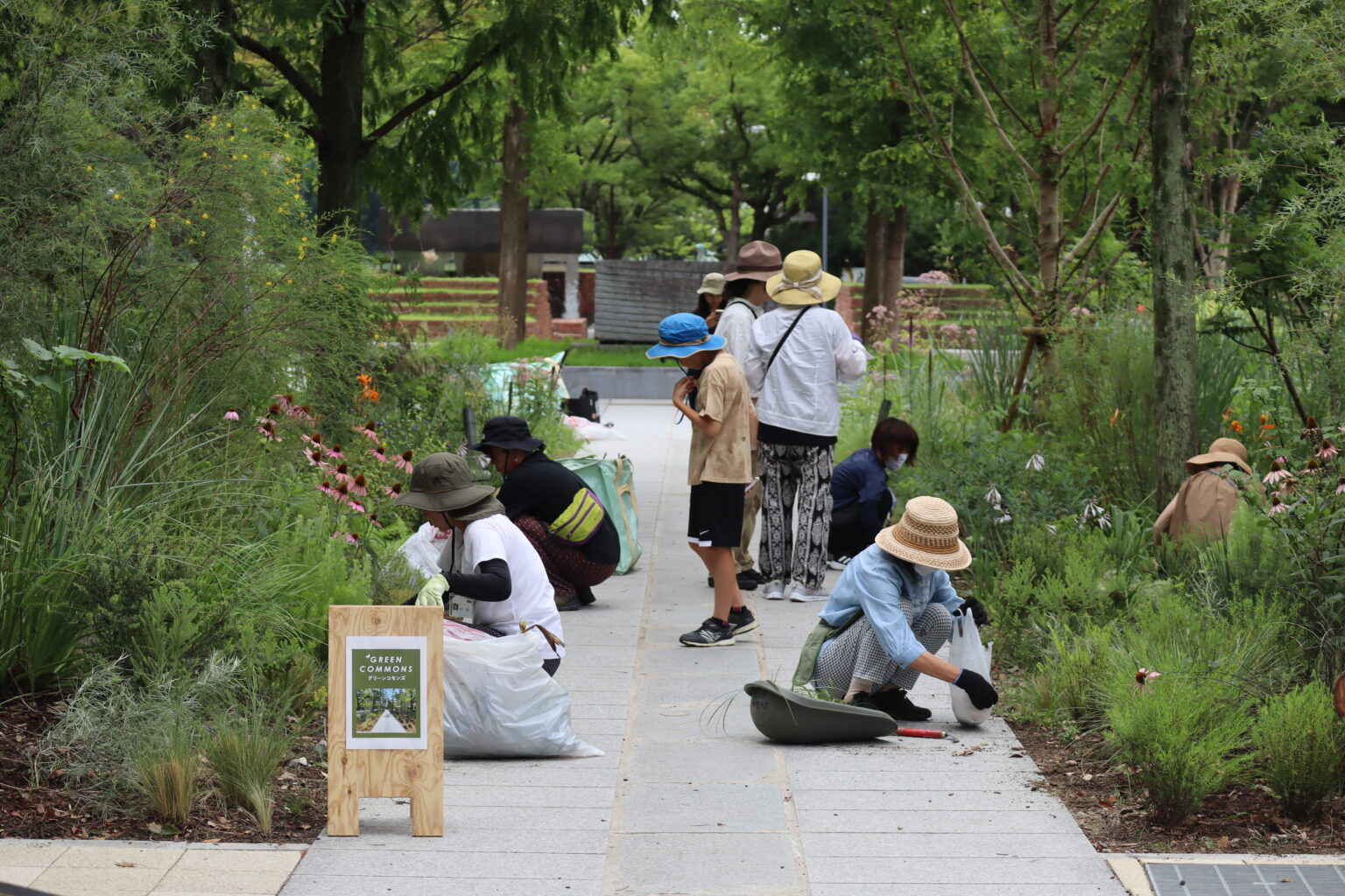 GREEN COMMONS – HERB CITY